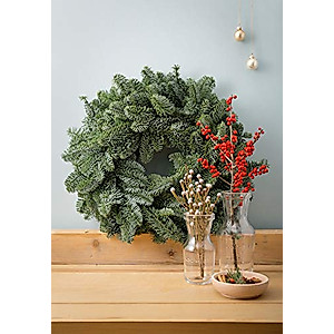 Luigi Bormioli Lock-Eat 17 oz Juice Jar (Set Of 6) : Innovative Glass Lid, Easy to Close, Easy to Open, Dishwasher Safe, Microwave Safe, Canning Safe, Freezer Safe, Stackable Jars