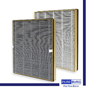 PUREBURG Replacement True HEPA Filter Compatible with TaoTronics TT-AP002 and VAVA VA-EE008 Air Purifiers, H13 High-efficiency Activated carbon True HEPA 2-IN-1 Air Clean VOC Dust,2-Pack