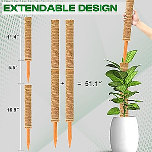 Moss Pole for Plants Monstera - 51.1” Stackable Plant Poles for Potted Plants Indoor and Outdoor (4 Pcs) – 16.9” Long Natural Coir Moss Sticks with Garden Twist Ties and Jute Rope