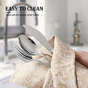 Lorena 20-Piece Stainless Steel Silverware Flatware Cutlery Set, Service for 4, Eclipse