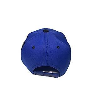 Embroidered Mens Womens Cap HAT Curved Bill Baseball California Republic Bear Blue