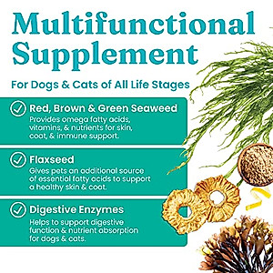 Solid Gold SeaMeal Multivitamin for Cats & Dogs - Grain Free Kelp Supplement - Digestive Enzymes for Dogs - Gut Health & Immune Support - Healthy Skin & Coat - Omega 3 & Superfood Powder - 1 LB