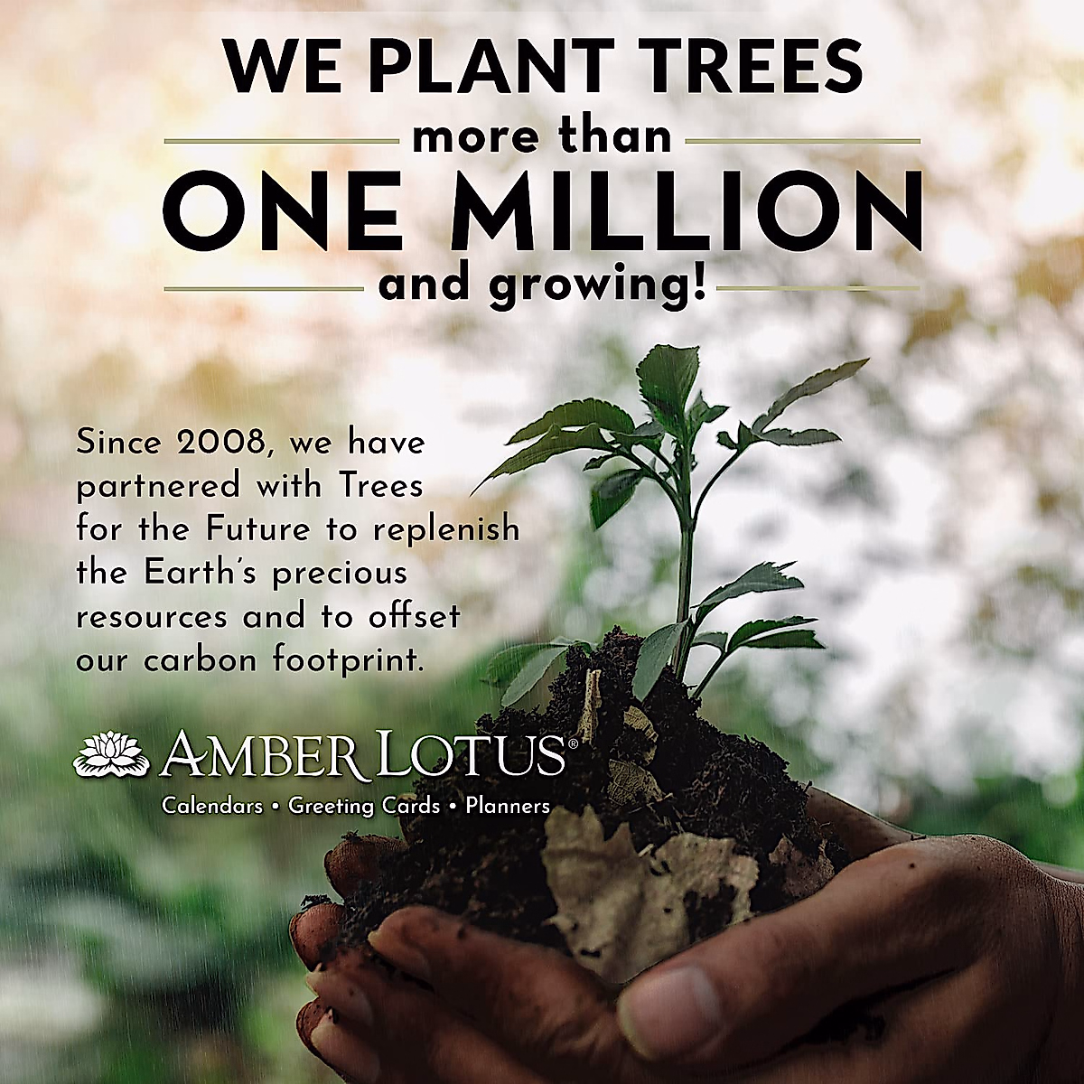 Spirit Horses 2023 Wall Calendar by Tony Stromberg | 12" x 24" Open | Amber Lotus Publishing