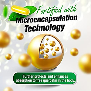 LABO Nutrition Perfect Quercetin SunActive IsoQ Bioflavonoids, 25x More Bioavailable Than Quercetin for Immune, Antioxidant, Allergy and Cardiovascular Support - Helps Improve Anti-Inflammatory - 60s