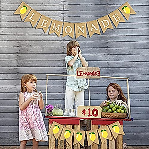 JOZON Lemonade Burlap Banner and Lemon Burlap Banner Jute Summer Lemon Theme Bunting Banner Garland Summer Lemon Theme Birthday Baby Shower Party Decor Lemonade Stand Decorations
