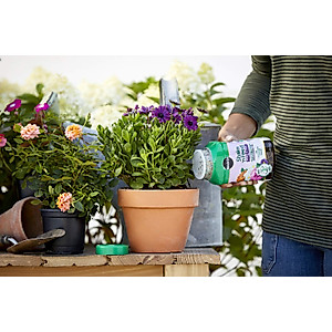Miracle-Gro Shake 'n Feed Rose and Bloom Plant Food - Promotes More Blooms and Spectacular Colors (vs. Unfed Plants), Feeds Roses and Flowering Plants for up to 3 Months, 1 lb.