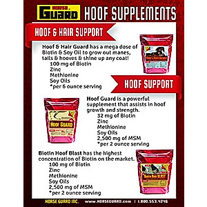Hoof & Hair Guard 10 lb, Equine Hoof Strengthening & Coat Conditioning Supplement