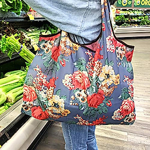 allydrew Large Foldable Tote Nylon Reusable Grocery Bag, Dinosaurs