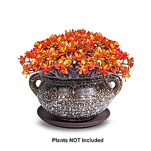 Dahlia Vintage Speckle Ceramic Succulent Planter/Plant Pot/Flower Pot/Bonsai Pot, C