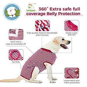 LovinPet Recovery Shirt - Full Coverage Dog's Bodysuit Wound Protective Surgical,E-Collar Alternative Recovery Snugly Suit for Abdominal Wounds After Surgery Anti-Licking Dog Onesies,Short Legs,XL