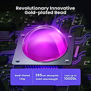 COKIT Indoor Insect Trap, 2 Mode Catching Insects with Suction, Bug Light and 6 Glue Board, Catcher & Killer for Mosquito, Gnat, Moth, Fruit Flies, Non-Zapper Traps for Home, Black-2