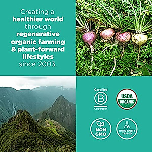 Navitas Organics Maca Powder, 4 oz. Bag, 23 Servings — Organic, Non-GMO, Low Temp-Dried, Gluten-Free