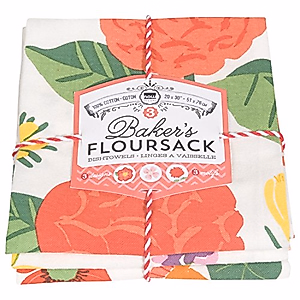Now Designs Floursack Kitchen Towels Quick Dry Cotton Hand Towel Set, 3 Count, Flowers of The Month, 20 x 30 in