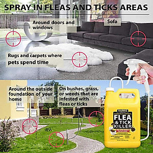 Harris Flea and Tick Killer, Liquid Spray with Odorless and Non-Staining Extended Residual Kill Formula (2-Pack, Gallon)