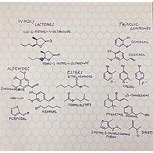BENZNOTE, Loose Leaf Filler Paper, for Organic and Biochemistry, 8-1/2" x 11", Hexagonal Graph Rule, Green Lined, 3-Hole Punched, 112 Pages