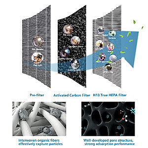 Rioche TT-AP002 H13 True HEPA Replacement Filter, Compatible with TaoTronics TT-AP002 Air Purifier, 3-in-1 Premium H13 True HEPA Filter, 2-Pack