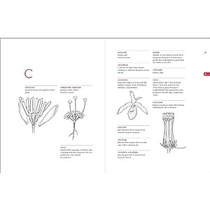 A Botanist's Vocabulary: 1300 Terms Explained and Illustrated (Science for Gardeners)