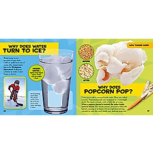 National Geographic Little Kids First Big Book of Why (National Geographic Little Kids First Big Books)