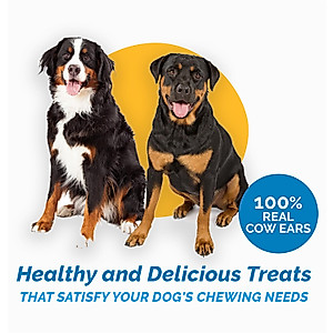123 Treats Cow Ears for Dogs (1 Pound - Golden) - 100% Natural Made Premium Chews for Your Dog Bulk Beef Treats no Added additives