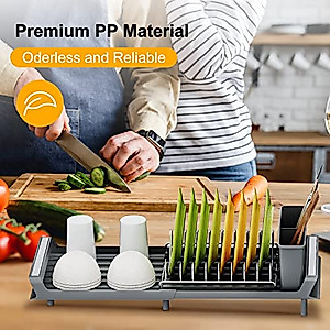 OROPY Small Dish Drying Rack Expandable Dish Rack Dish Drainer and Utensil Holder, Compact Stainless Steel Dish Drain for Kitchen Counter Cabinet (Grey)