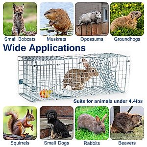 Humane Rat Trap Cage Live Rat Traps Humane Cat Traps Catch Release Live Animal Rodent Cage Collapsible Galvanized Wire for Rabbit Small Groundhogs Squirrel Mole Gopher Mice Chipmunk-24X8X7.2In