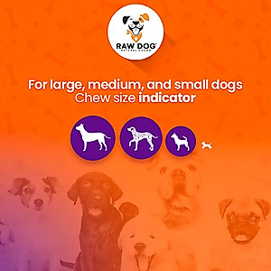 Raw Dog 6" Braided Beef Gullet Sticks (3 Pack) – 100% All Natural Dog Treats & Dental Chews, Non-GMO Grass Fed Beef, Chemical Free Low Odor