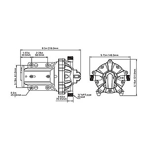 SEAFLO 55-Series Washdown Pump Kit - 12V DC, 5.5 GPM, 70 PSI