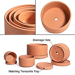 D'vine Dev Set of 4 Terracotta Shallow Planter Pots for Succulent, 3 Inch 4 Inch 5 Inch 6 Inch, Small Flower Plant Pots with Drainage and Saucer, 40-D-L-1