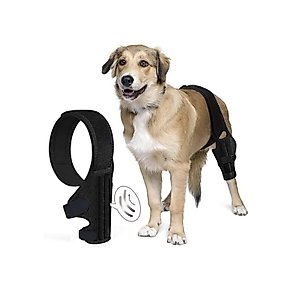 Dog Knee Brace for Torn ACL Hind Leg - Adjustable Leg Support for Hip Dysplasia, Dog Arthritis, Inflammation, Luxating Patella - Comfortable and Durable Dog Leg Braces for Back Leg - Black (Small)