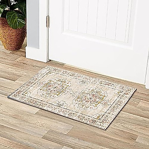 Corismatte Washable Bohemian Doormat, Non-Slip Small Rug for Entrance, Multi/Brown 2’x3’
