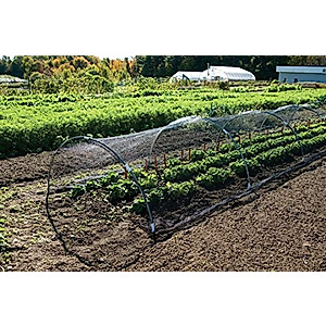 Green Vista Deluxe 12x20 Feet Multi Use Net/Netting 30% Shade Barrier and Cover Cloth for Patios, Gardens, Greenhouses and More - 1/4x3/8 Inch Mesh - Black