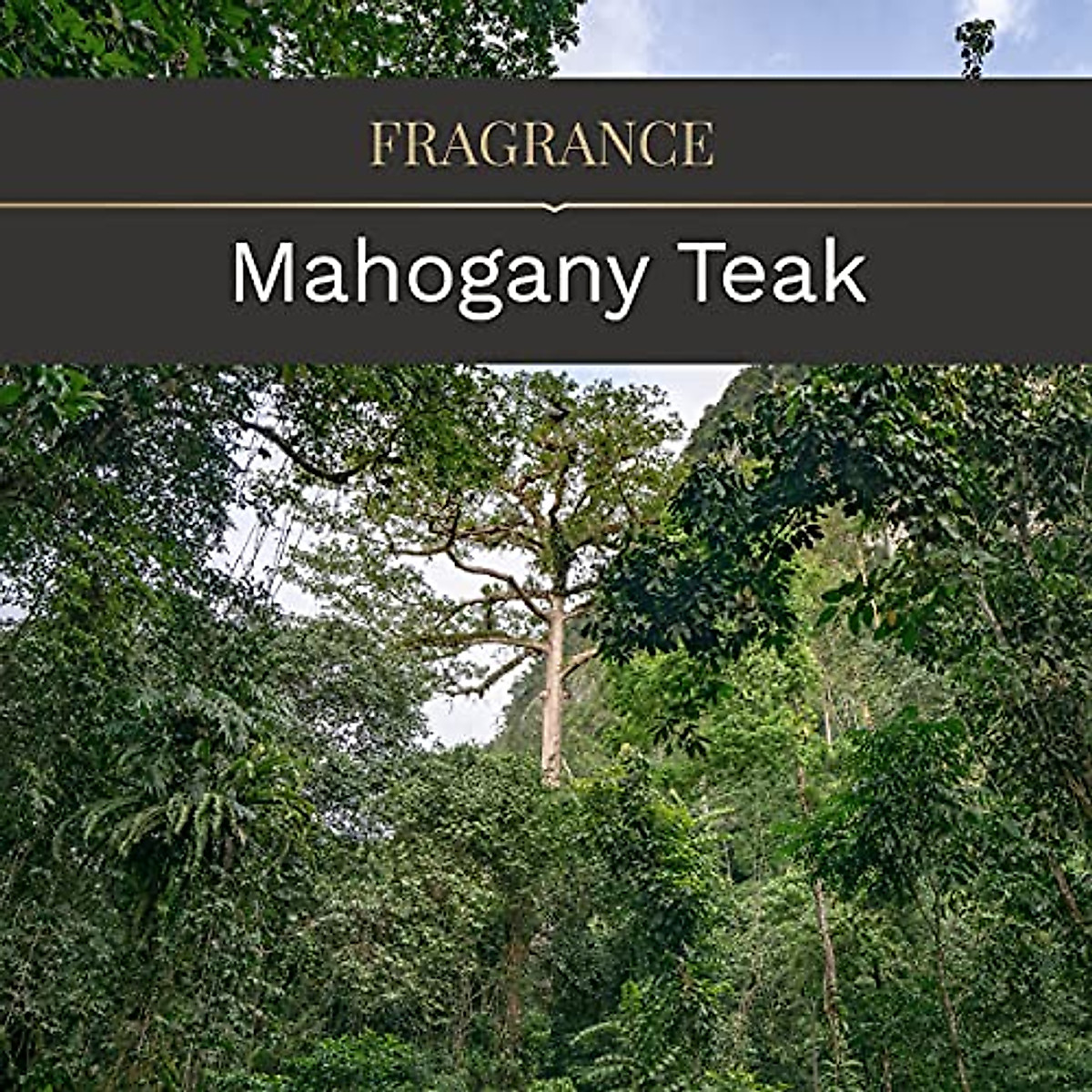 CLCo. By Candle-Lite Scented Mahogany Teak Single-Wick Jar Candle, 14 oz, Off White