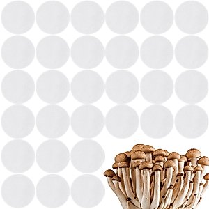 Frienda 30 Pieces Synthetic Filter Paper Stickers 0.3 μm Synthetic Filter Disc Wide Mouth Circular Adhesive Filter Patch Sticker for Mushroom Cultivation Wide Mouth Jar Lids Mason Jars (2.28 Inch)