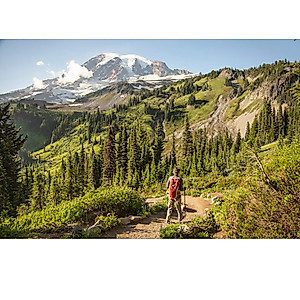 FITS Micro Light Runner – Quarter Socks, Steel Blue, X-Large