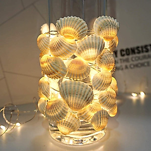 HDNICEZM Beach Seashell Decorative String Lights 14.1Ft 40 Warm White LED Waterproof Battery Operated Ocean String Lights for Bedroom Wedding Holiday Party Garden Indoor Outdoor Decorations