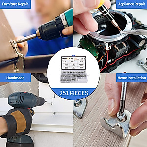 WELLOCKS Socket Cap Screw 251 PCS M4 Metric Bolts and Nuts Assortment Kit with Hex Wrench Button Head Stainless Steel 304 with Storage Box for Shelf Chair Desk Install Repair(D152)