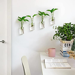 Ivolador 4PCS Wall Hanging Glass Plant Terrarium Container Cylinder Shape Perfect for Propagating Hydroponic Plants Home Office Garden Decor Wedding