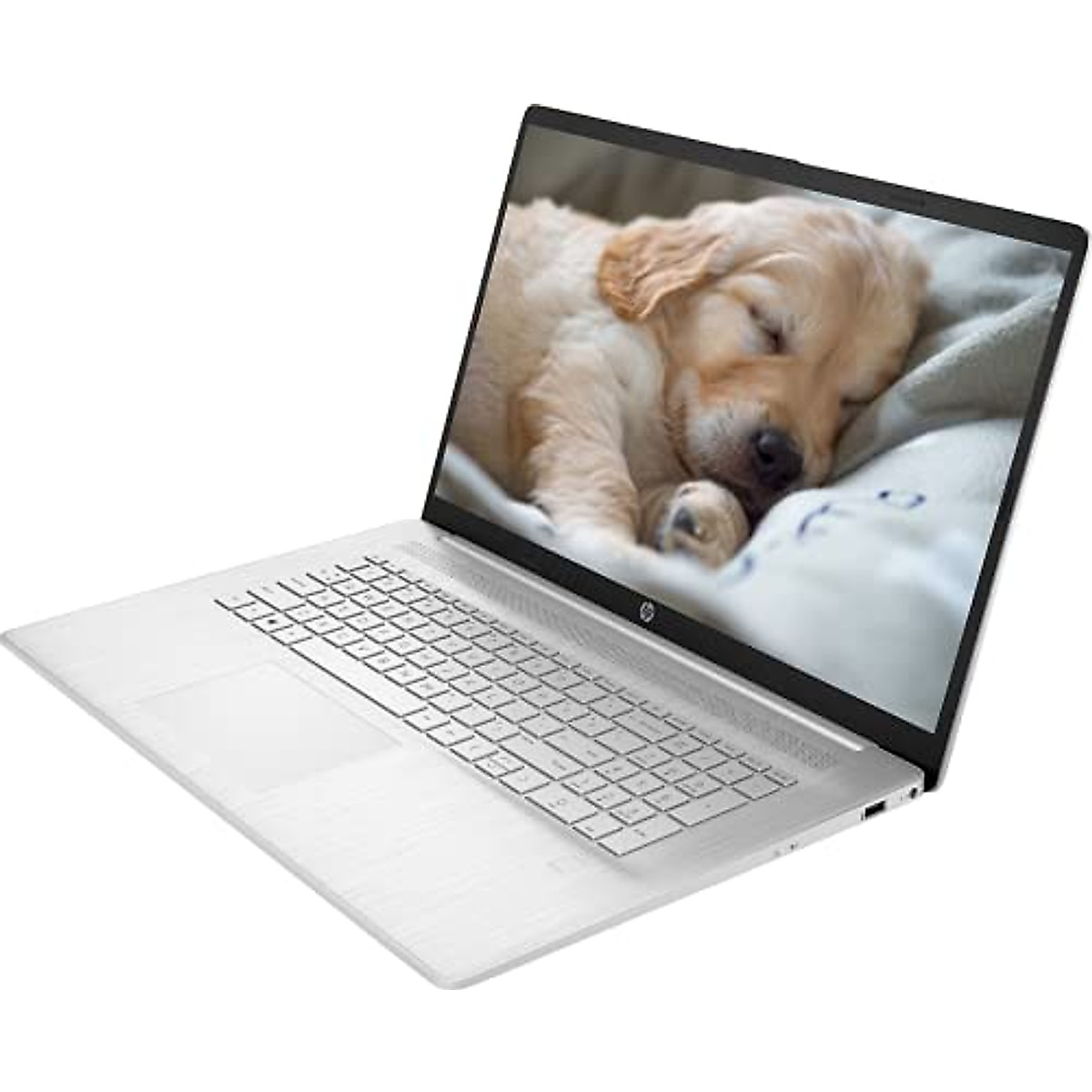 HP 17.3'' FHD IPS Display Business Laptop, AMD Ryzen 5 5500U Processor, Windows 10 Pro, 16GB RAM, 512GB SSD, Wi-Fi, Bluetooth, Webcam, Fingerprint Reader, Natural Silver