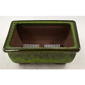 Calibonsai 6inch Rectangular Moss Green Shohin Bonsai/Succulent Pot + Tray + Rock + Mesh Combo, Blue,green