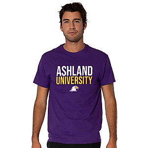Ashland University Official Stacked Short Sleeve Mens Cotton T-Shirt,Purple, Large