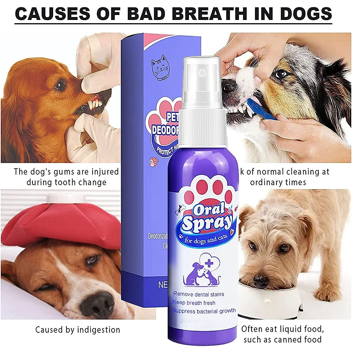 Petry Oral Spray, Petry Teeth Cleaning Spray for Dogs & Cats, Pet Breath Freshener Spray Care Cleaner 60ml, Pet Oral Spray Clean Teeth, Dog and Cat Natural Breath Freshener