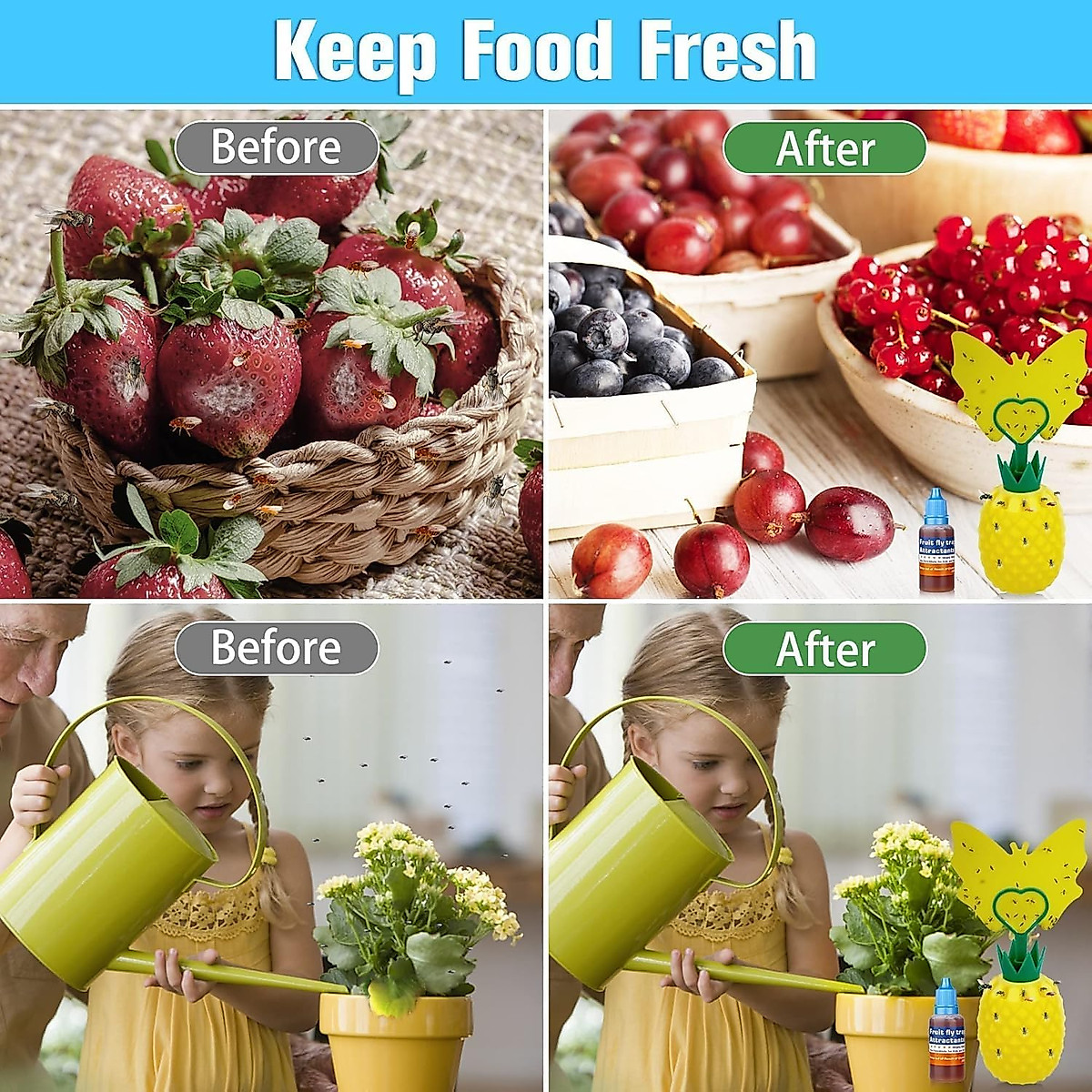 Efficient Gnat Killer Indoor, Upgrade Fruit Fly Trap Refill Liquid Only Fruit Fly Traps for Indoors Refill Liquid Fly Traps