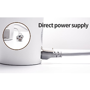 110V Constant Temperature Electric Cup, Quickly Heated to Boiling, Small Electric Heater Intelligent Heating Anti Dry Burning can Brew Coffee and Milk (Light Green)