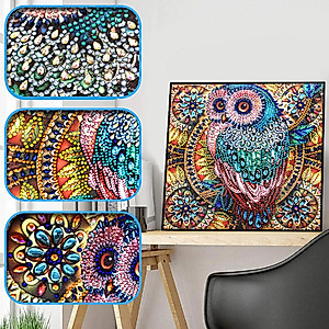 Hibah Diamond Painting DIY 5D Special Shape Rhinestone, Owl, Partial Diamond Crystal Diamond Painting Set (Mandala)