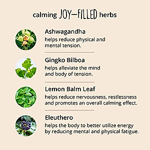 Joy-Filled Mood Support Supplement with St Johns Wort | Helps Calm The Mind & Body, Stress Relief Energy Supplements | 100% Plant-Based | Ashwagandha, Rhodiola, Eleuthero | Herbal Adaptogens, 60 ct