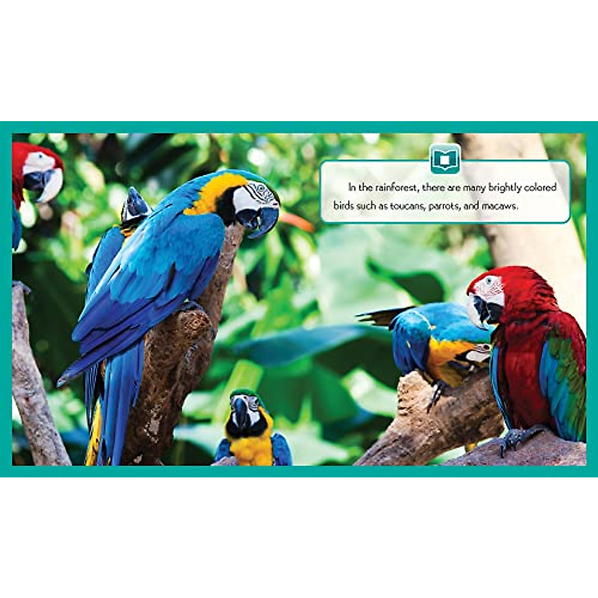 Encyclopedia Britannica Kids - Me Reader Electronic Reader and 8 Sound Book Library - Animals and Space - PI Kids