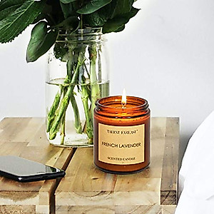 JINZAIYUAN GRACEHOUR Candles for Home Scented，7oz Large Scented Candles for Women & Man, French Lavender Scented Candles,Natural Soy Wax Jar Candle Gifts for Home Decor Birthday，35H Long Lasting