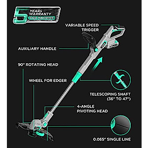 Litheli 20V 12" Cordless String Trimmer & Wheeled Edger, Battery Powered, Automatic Line Feed, 2.0Ah Battery and Charger for Lawn Trimming and Edging