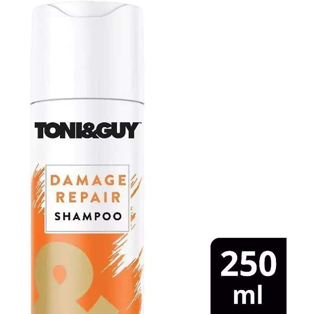 Toni & Guy Cleanse Shampoo for Damaged Hair, 8.5 oz