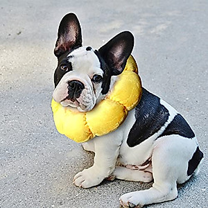 KUDES Cat Small Dog Recovery Collar, Cute Sunflower Neck Cone After Surgery, Adjustable Pet E Collar, Wound Healing Protective Cone Surgery Recovery Elizabethan Collars for Small Pet